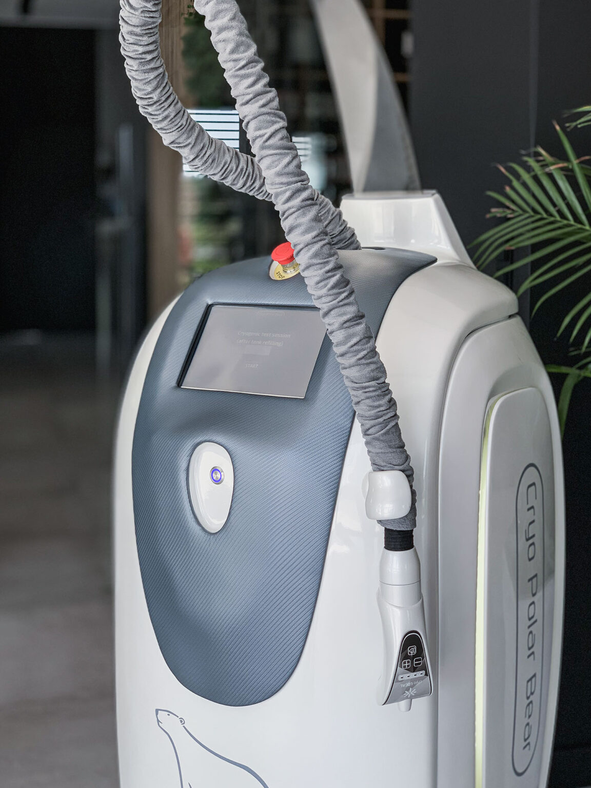 Cryo Local Polar Bear - Localized cryotherapy (cryogenic blower)