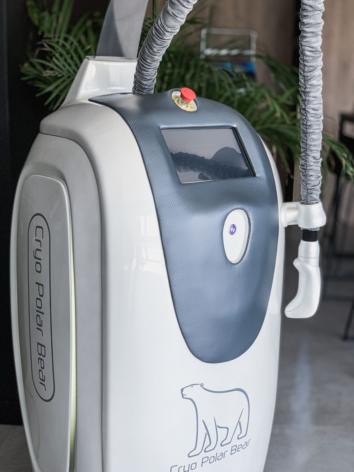 Cryo Local Polar Bear - Localized cryotherapy (cryogenic blower)